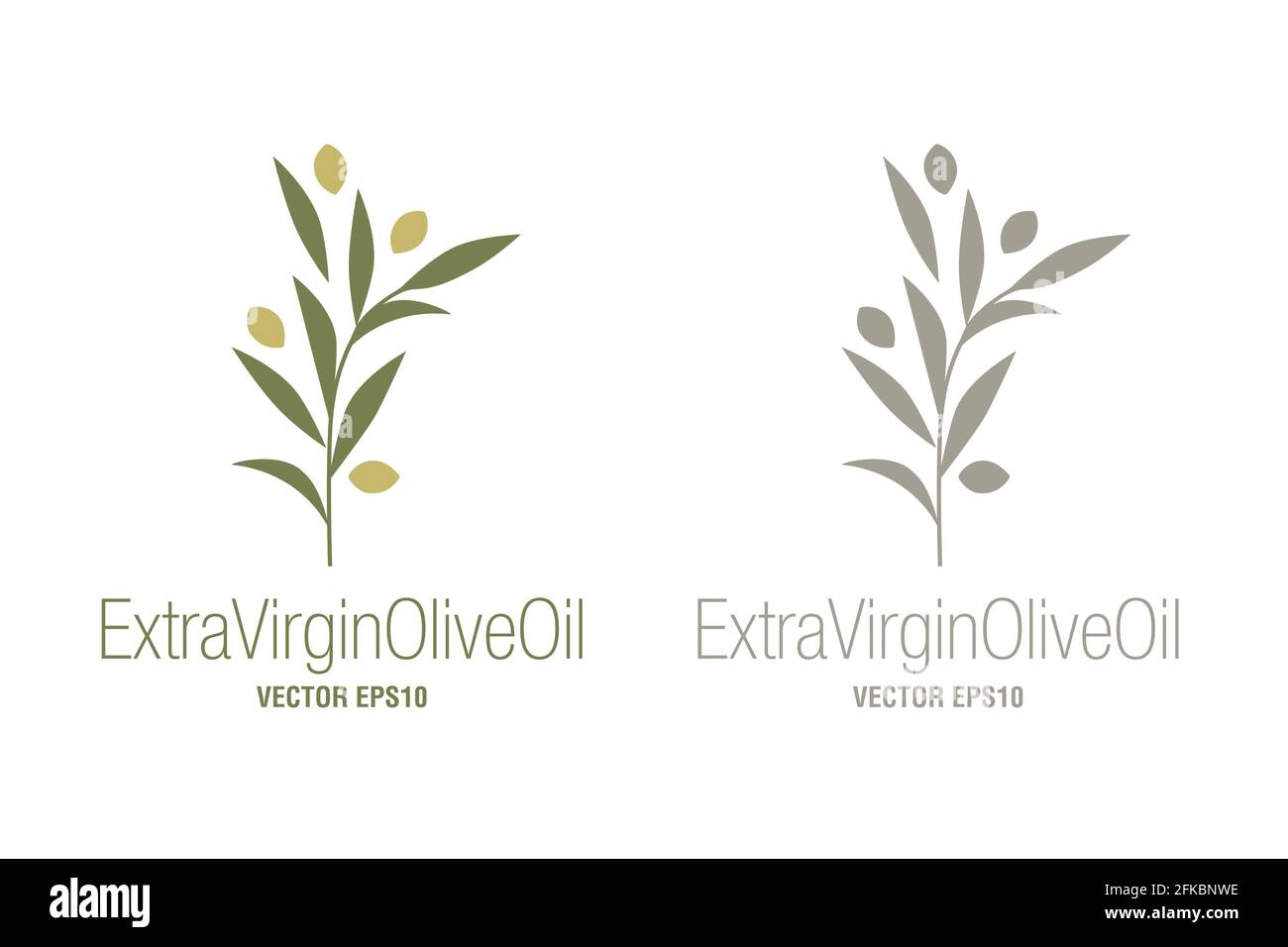 Olive branches food isolated on white background. Extra virgin olive ...