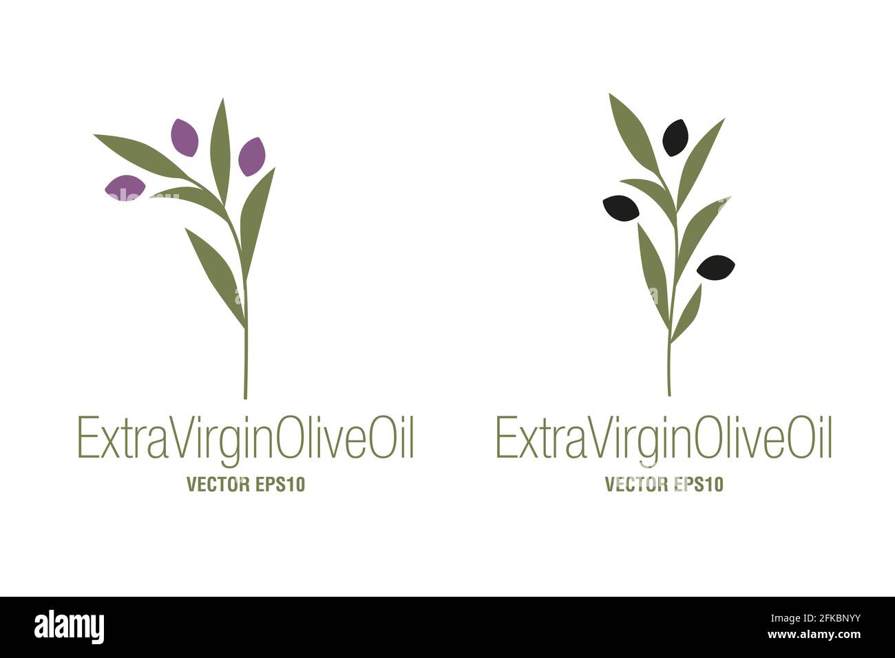 Olive branches food isolated on white background. Extra virgin olive ...
