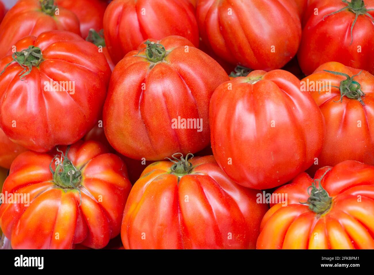 Bunch of ripe fresh red bio beef tomatoes from above. Group of organic ...