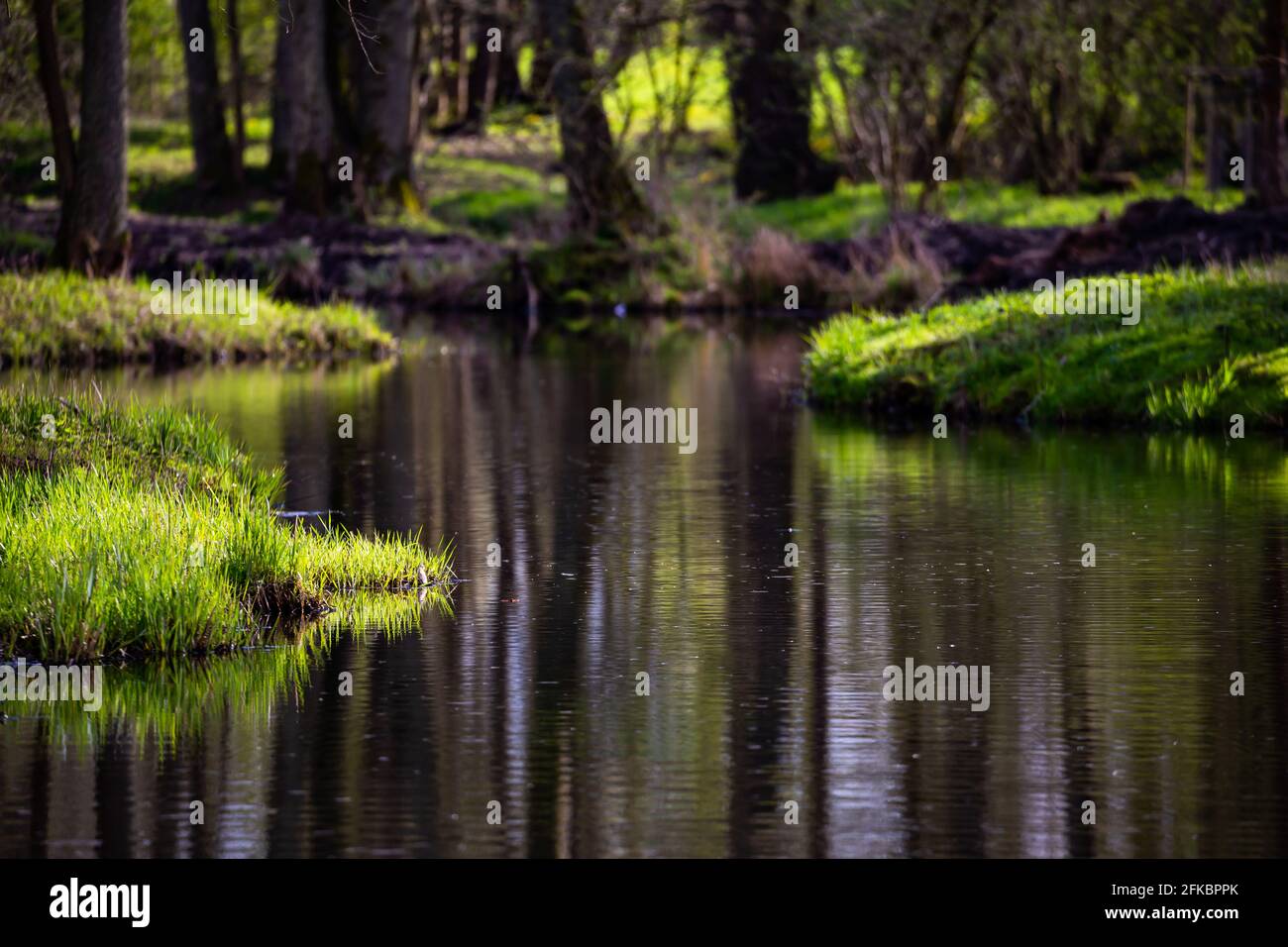 Light and shadow environment hi-res stock photography and images - Alamy
