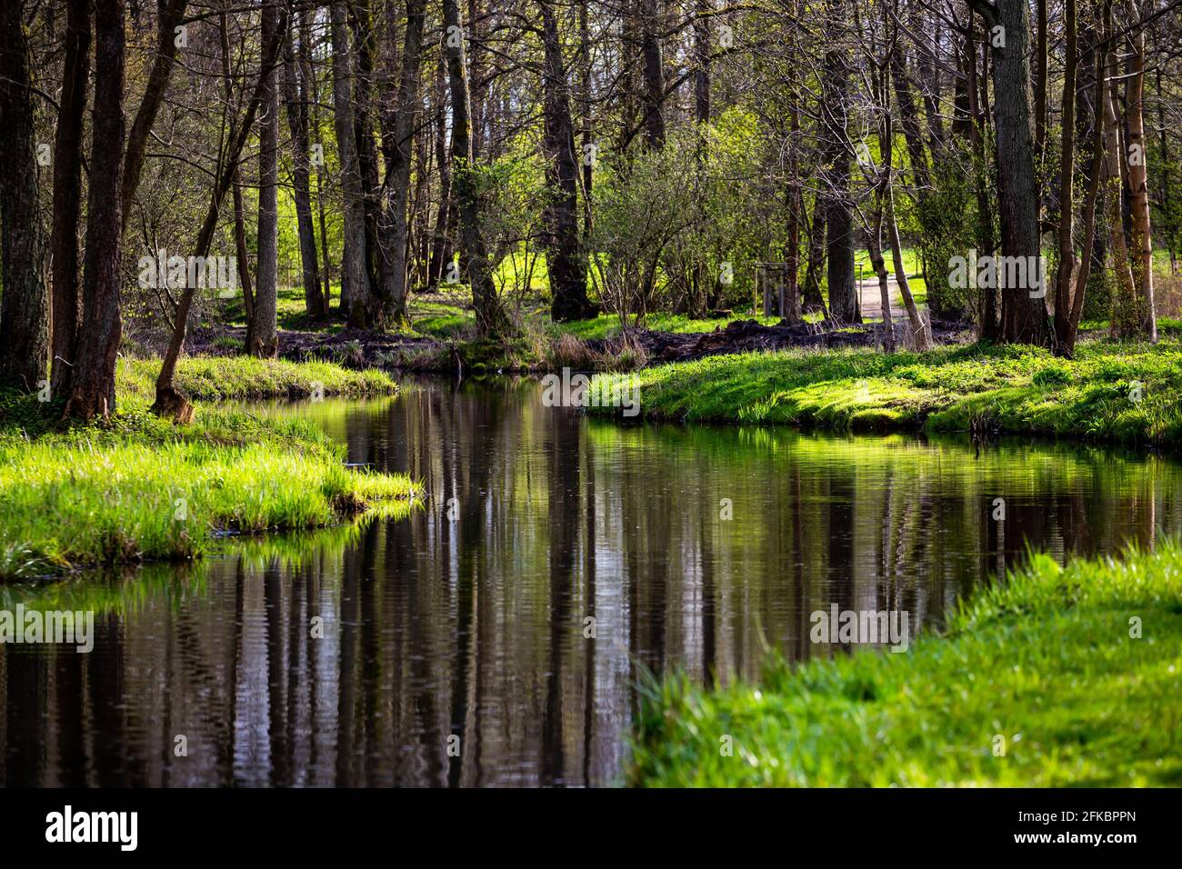Light and shadow environment hi-res stock photography and images - Alamy