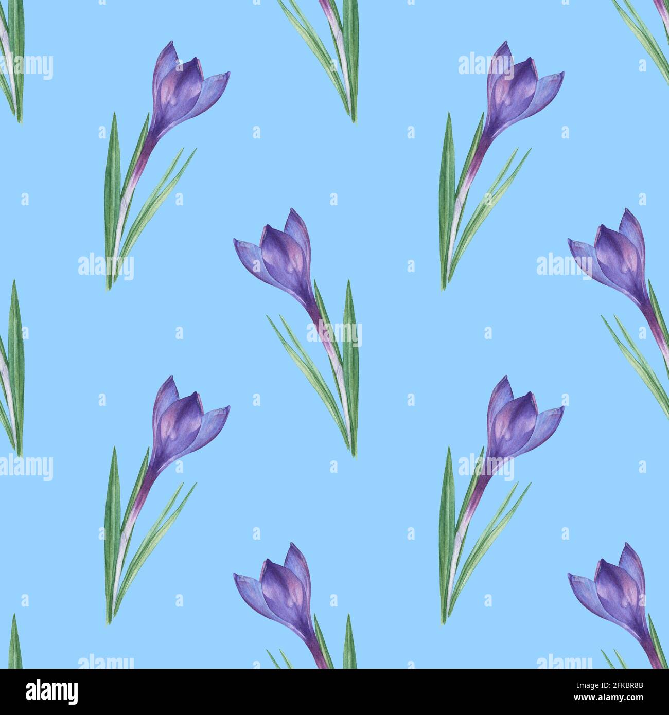 Crocus 4. Seamless floral pattern. Watercolor illustration. Hand ...