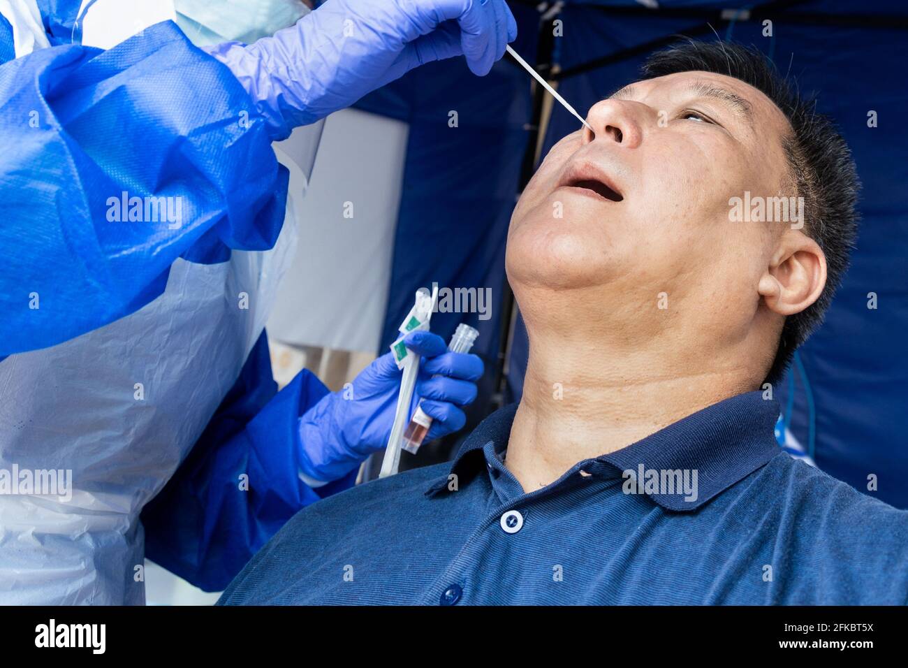 Mature asian man doing covid 19 PCR nasal swab test via nostril Stock ...