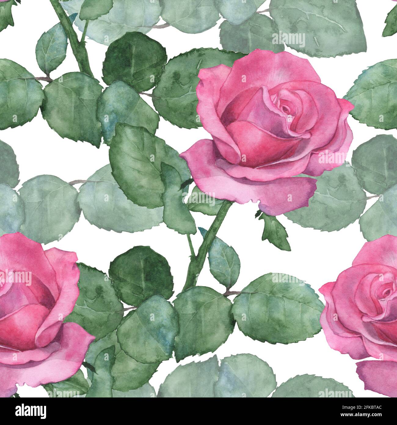 Watercolor seamless pattern of pink roses 3 Stock Photo - Alamy
