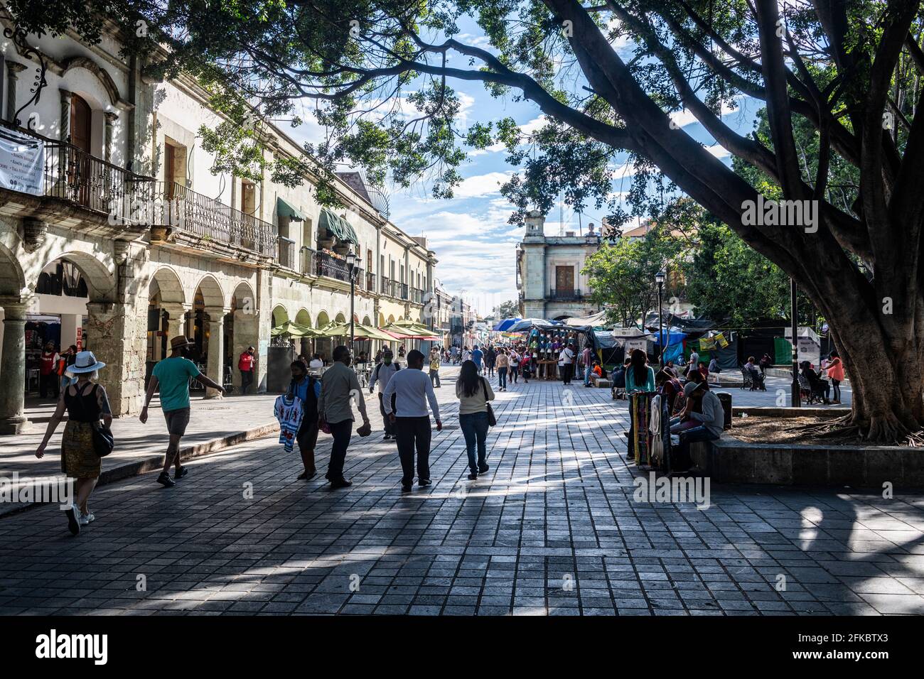 Main square, Oaxaca, Mexico, North America Stock Photo - Alamy