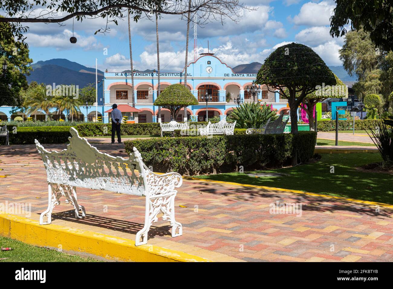 The tule tree hi-res stock photography and images - Alamy