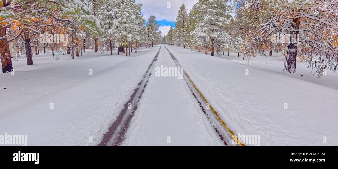 The road leading to Kaibab Lake in the Kaibab National Forest near ...