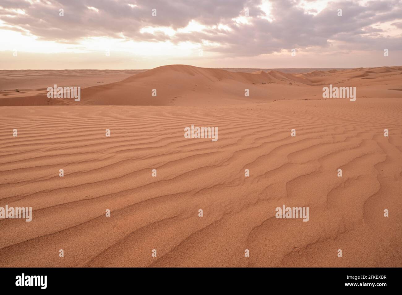 Sand dunes at sunset in the Wahiba Sands desert, Oman, Middle East ...