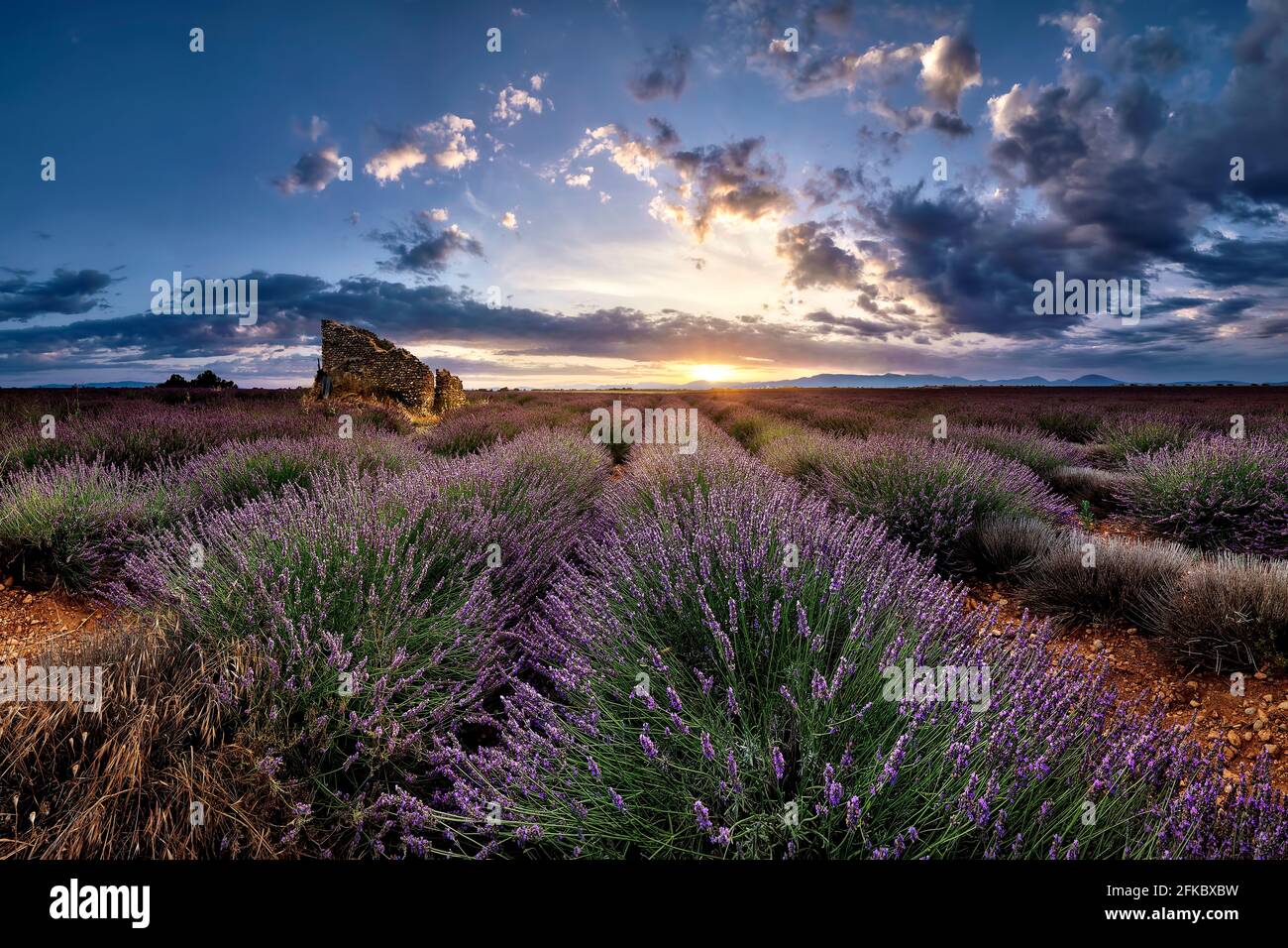 Sunlight france field hi-res stock photography and images - Alamy