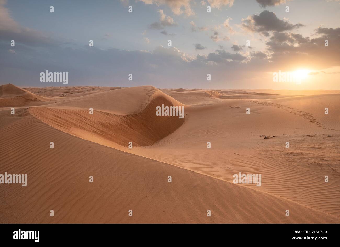Sand dunes at sunset in the Wahiba Sands desert, Oman, Middle East ...