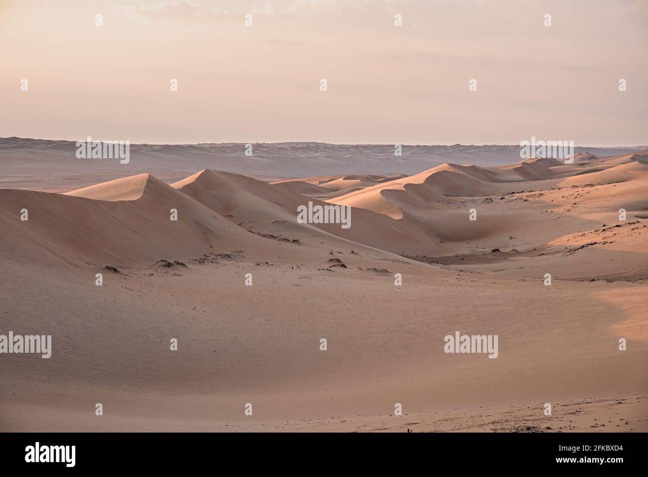 Sand dunes at sunset in the Wahiba Sands desert, Oman, Middle East ...