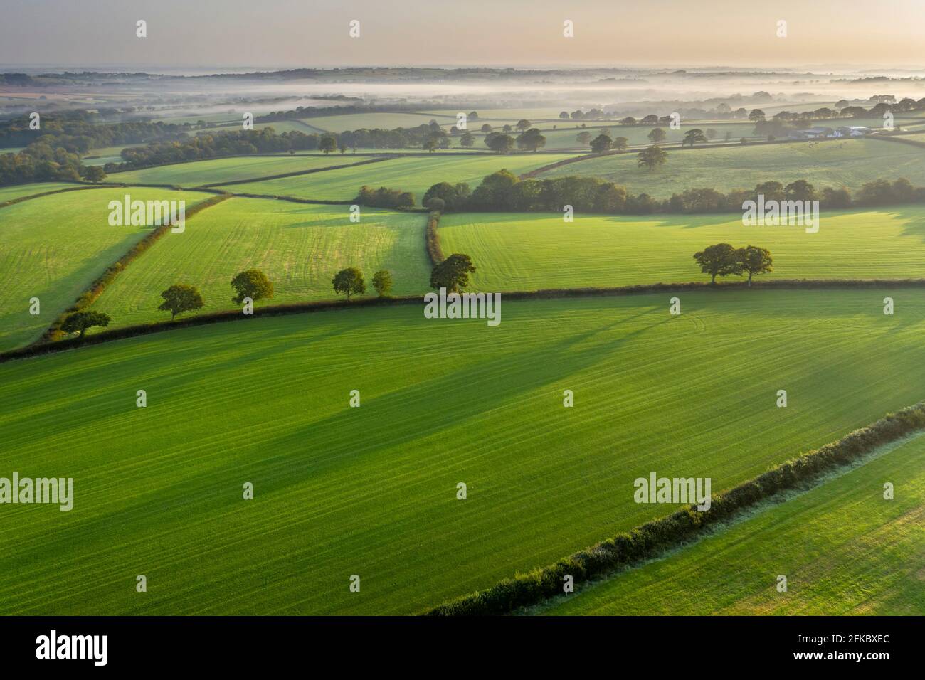 Spreyton devon hi-res stock photography and images - Alamy