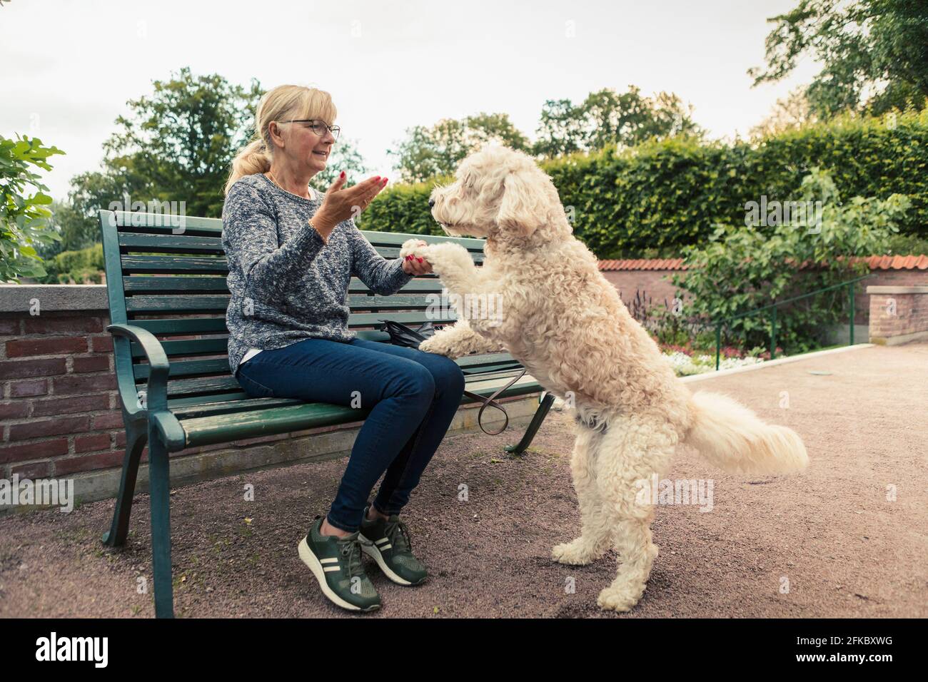 Obedience training hi-res stock photography and images - Alamy