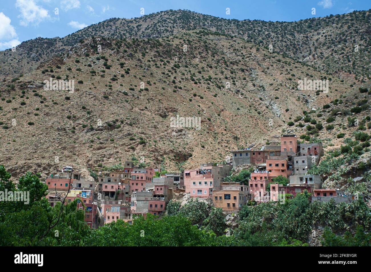 Setti fadma hi-res stock photography and images - Alamy