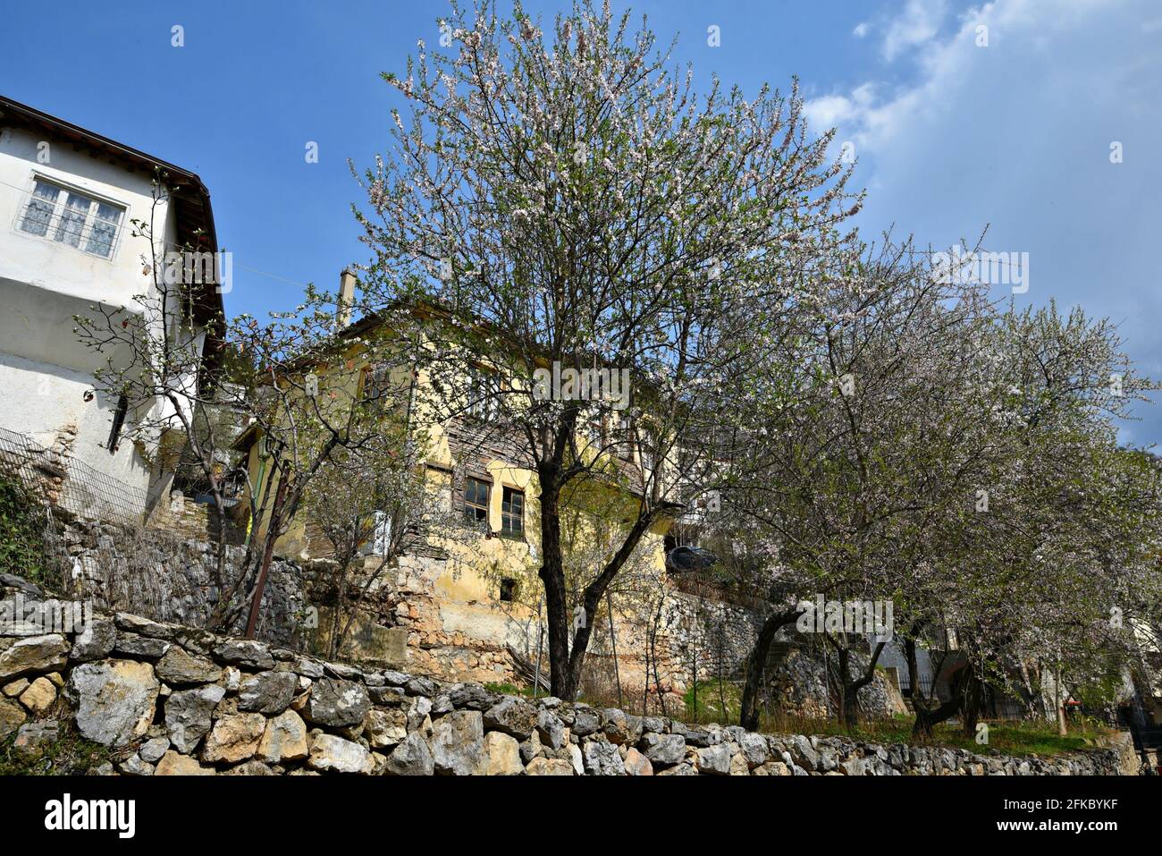 Traditional Macedonian - Ottoman style mansions in the multi-ethnic ...