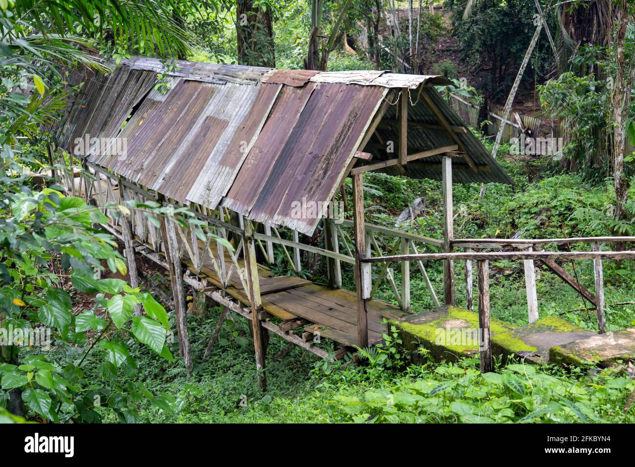 Rainforest walkway peru hi-res stock photography and images - Alamy