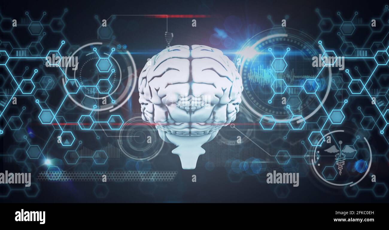 Composition of human brain, chemical compounds and scientific data ...