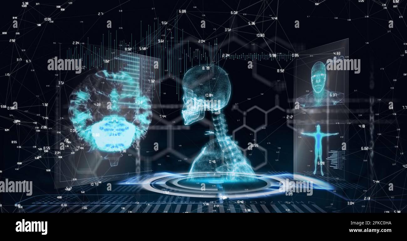Composition of human skeleton, chemical compounds and scientific data ...