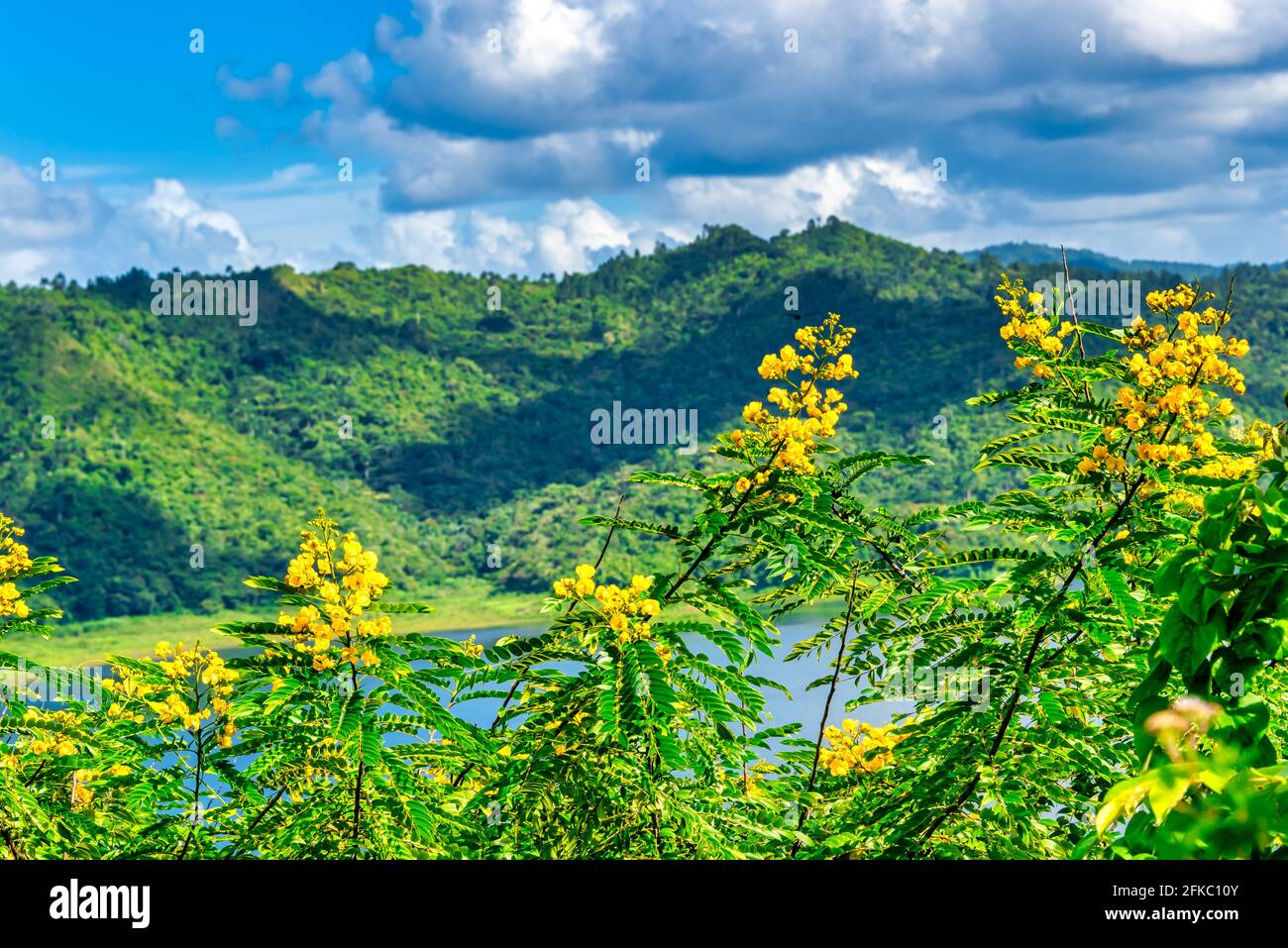 Hanabanilla Landscape, Villa Clara, Cuba Stock Photo - Alamy