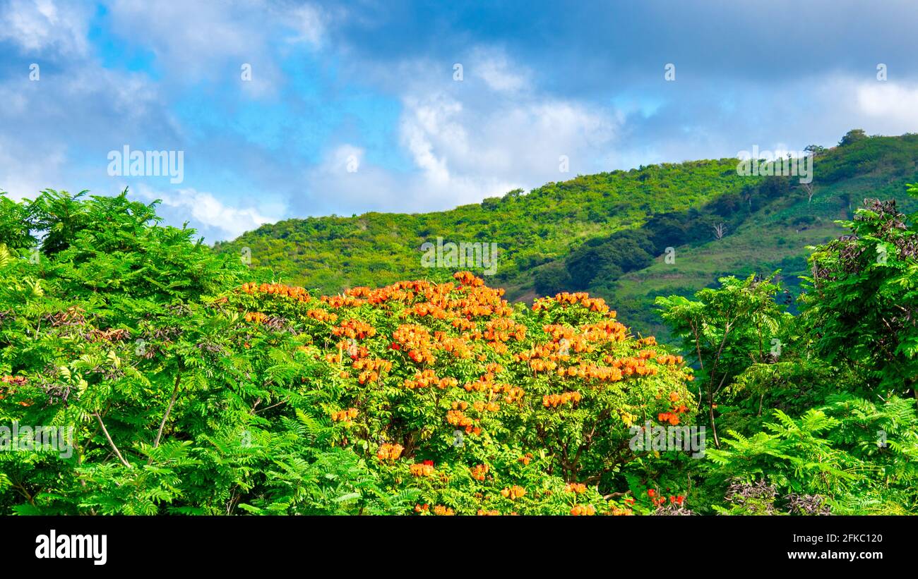 Cuba natural landscapes hi-res stock photography and images - Alamy