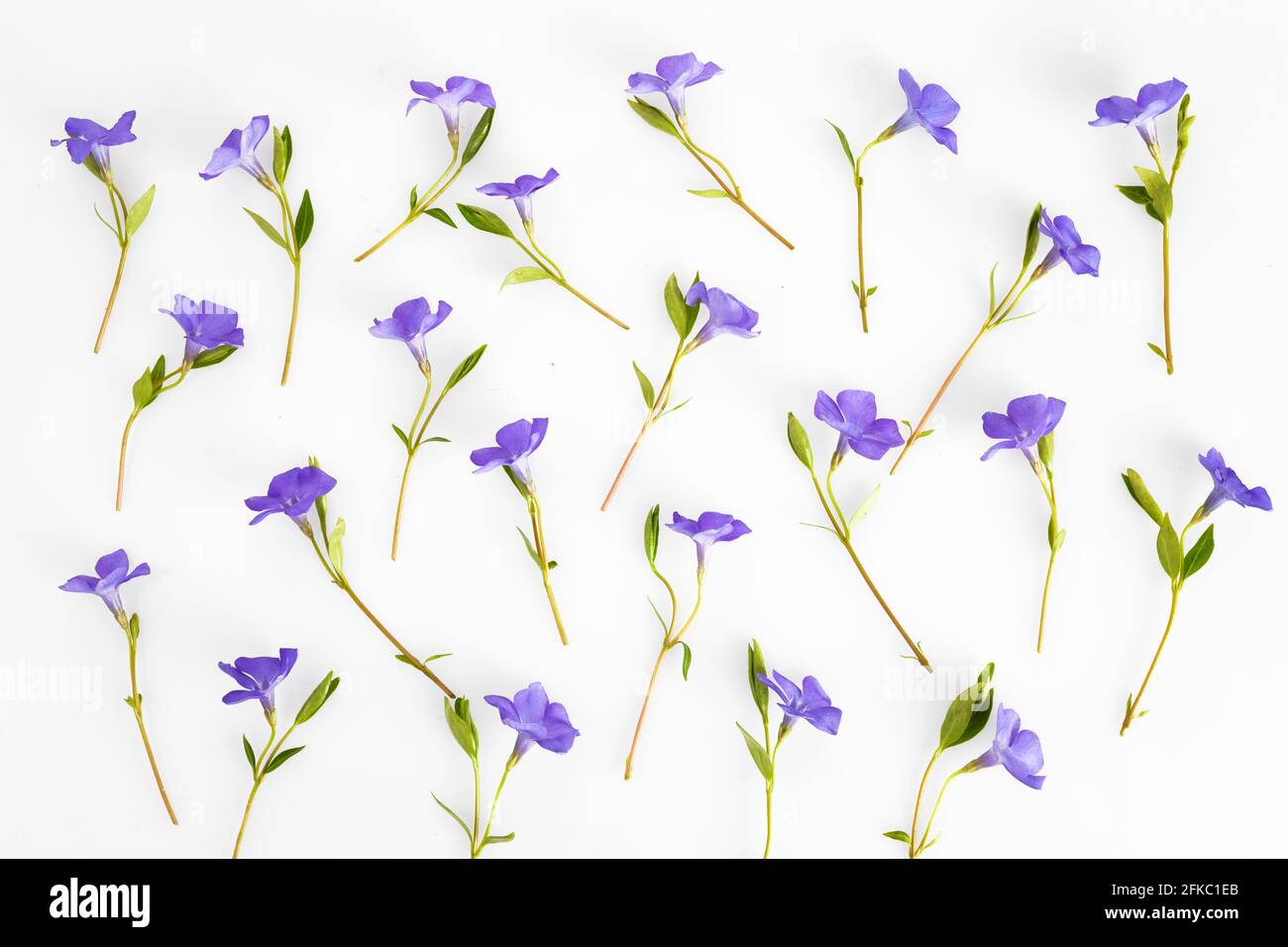 Periwinkle background hi-res stock photography and images - Alamy