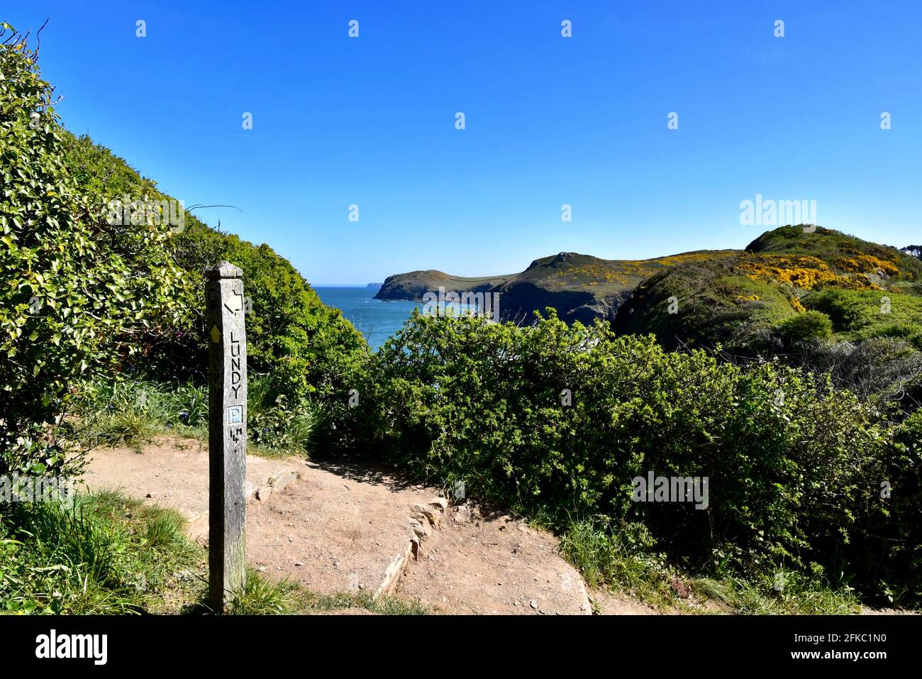 Bay hedge hi-res stock photography and images - Alamy