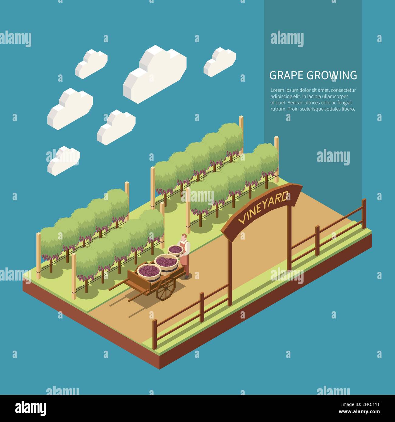 Wine production isometric composition with trees and grape vines 3d ...