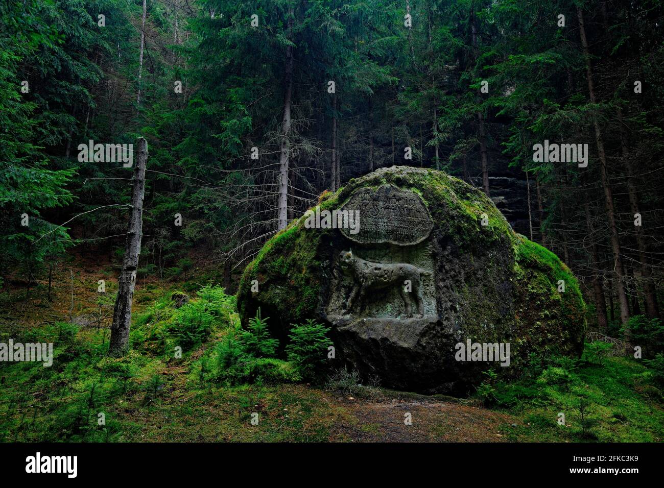 Lynx on the rock stone sculpture in the dark forest. Last shoot dead ...