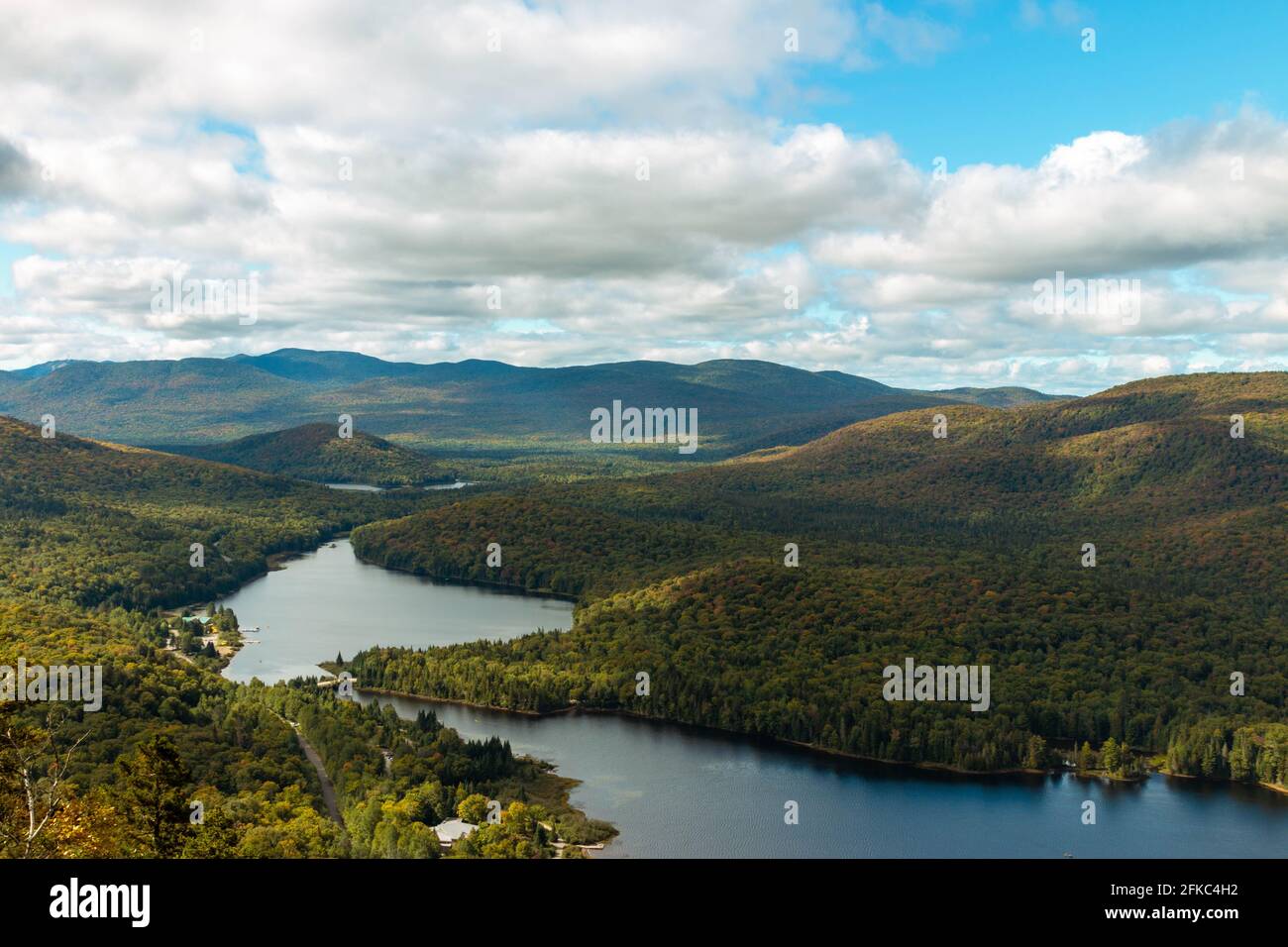 Lush boreal forest in Quebec, Canada. Laurentian mountains region ...