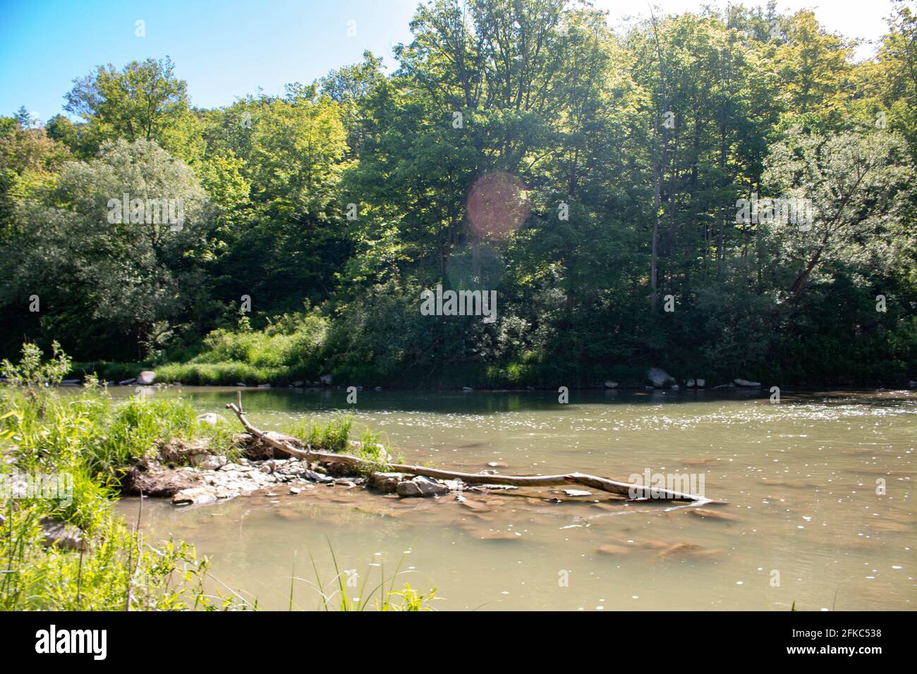 view of a small dam wall in a creek Stock Photo - Alamy