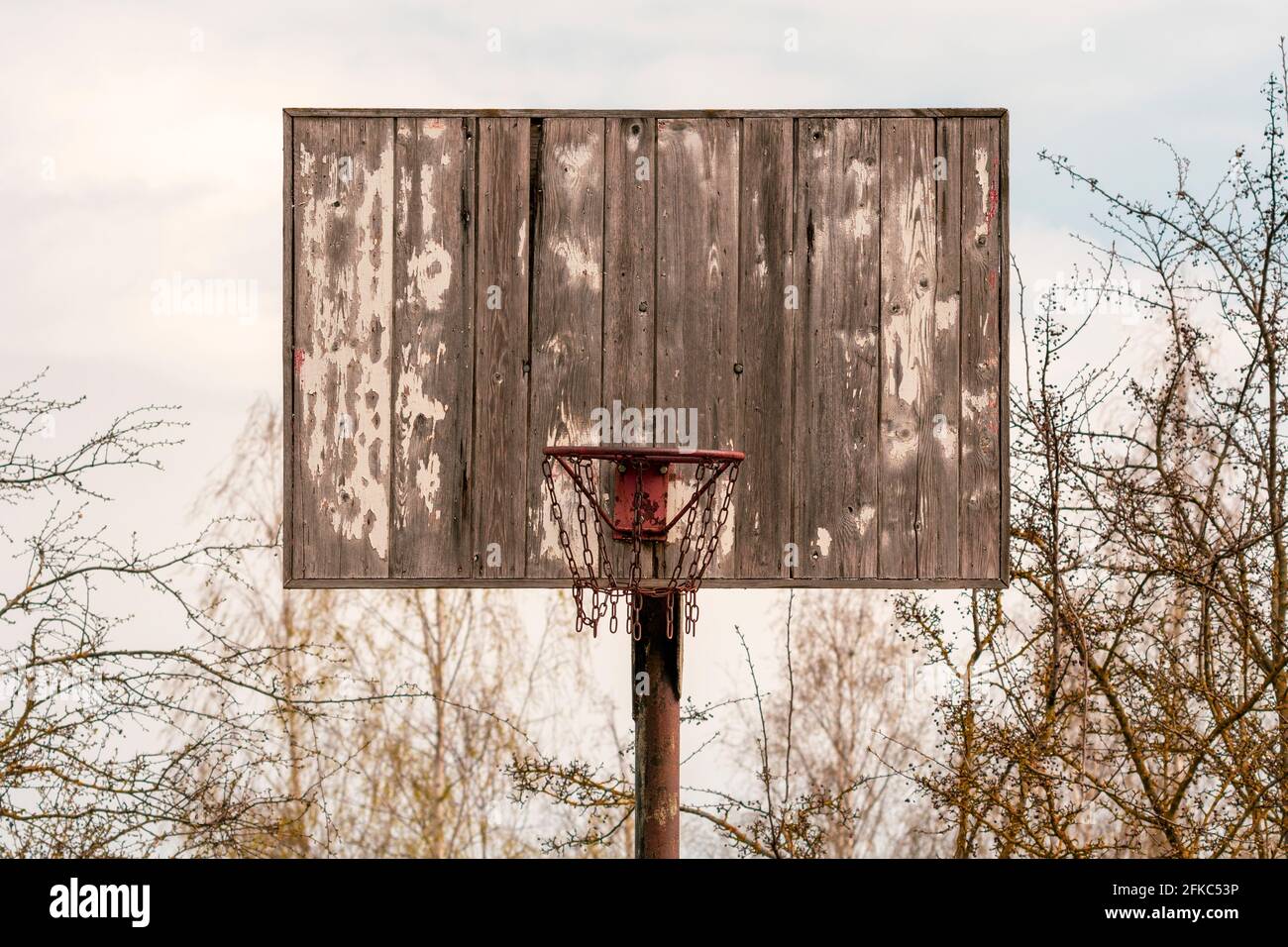 Basketball Hoop Front View