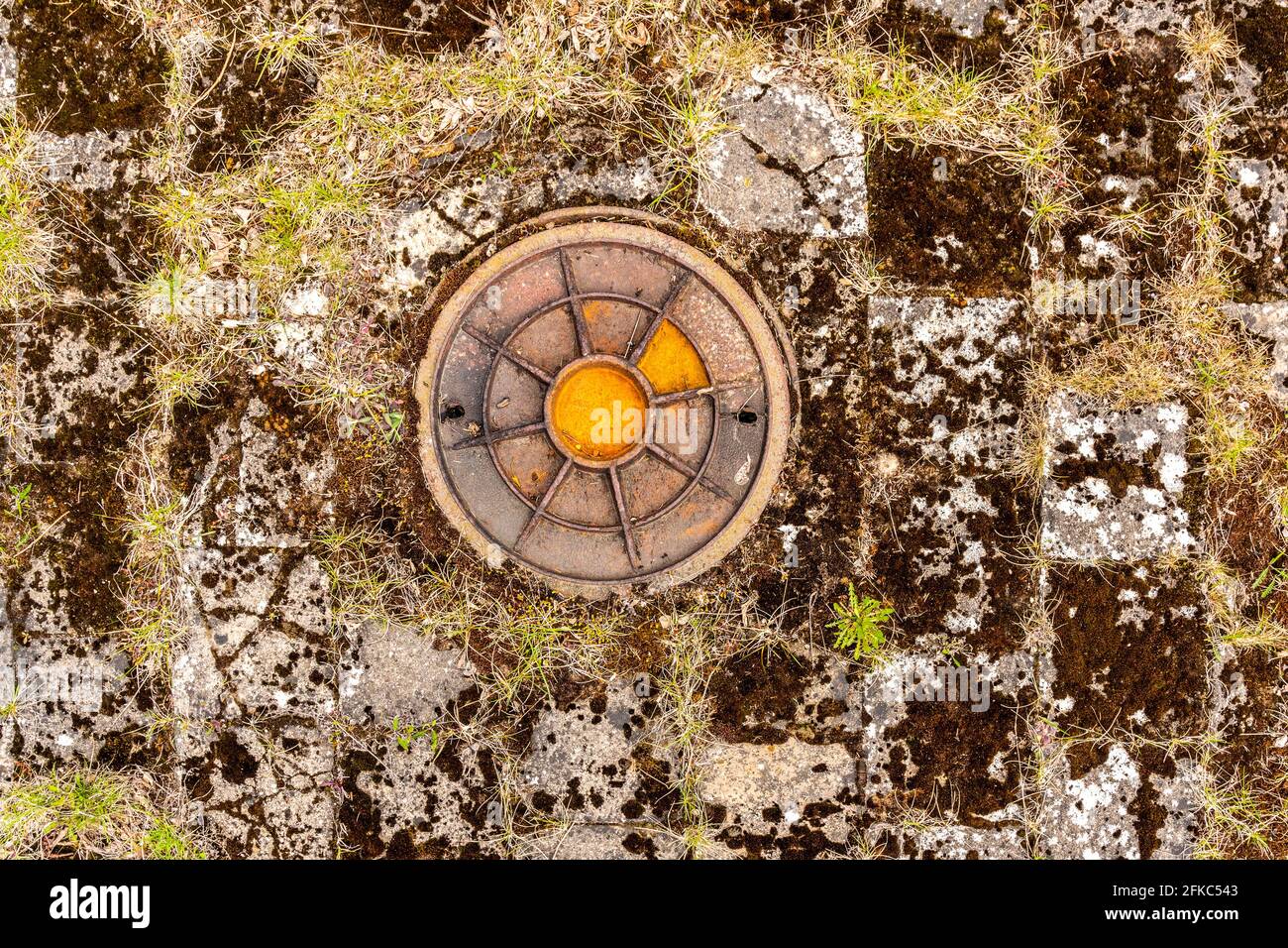 Old round iron manhole on the abandoned old tile with grass growing ...