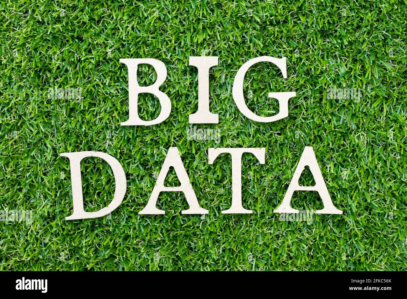 Wood alphabet letter in word big data on green grass background Stock ...