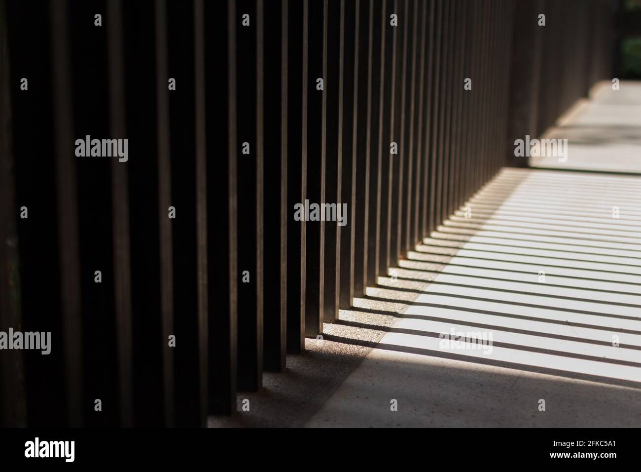 The morning sunlight shining through the rectangular pillars. parallel ...