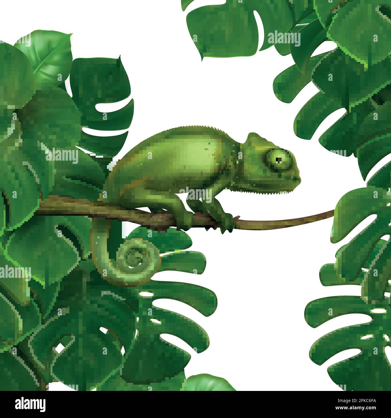 Lizards In The Tropical Rainforest