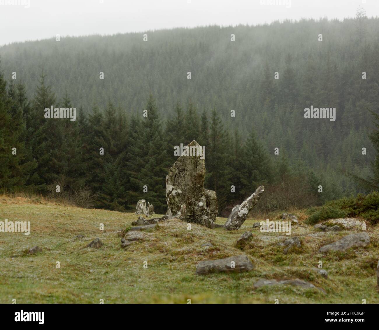 stone row fernworthy Stock Photo - Alamy
