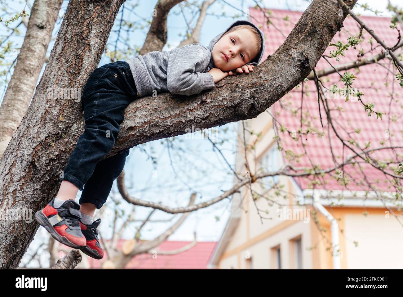 Cute little boy climbing a tree and lying on a tree branch, children ...
