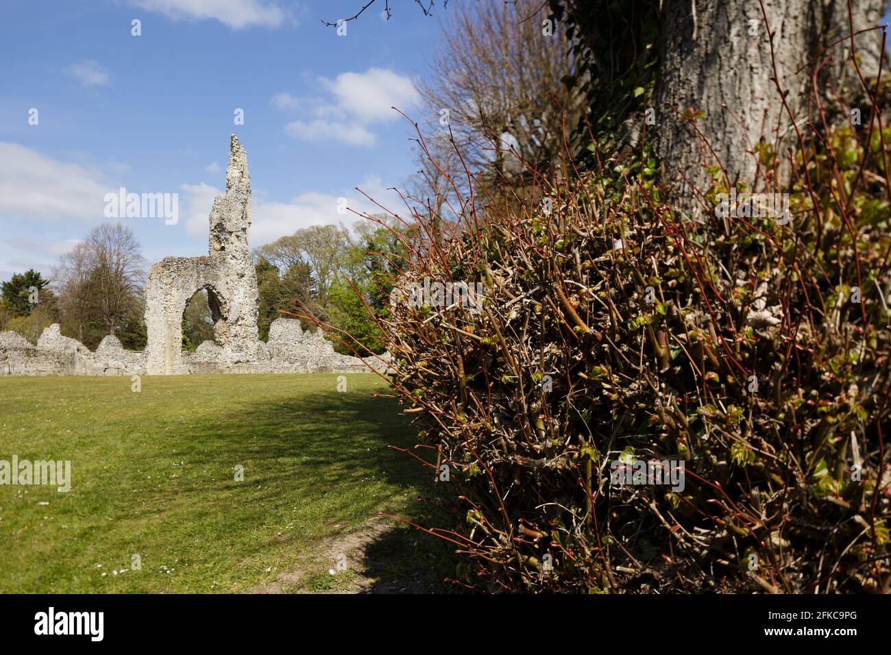 The Priory of Our Lady of Thetford, ruins of the Medieval Cluniac ...