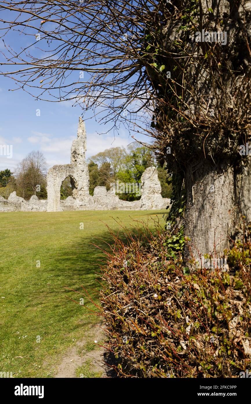 The Priory of Our Lady of Thetford, ruins of the Medieval Cluniac ...