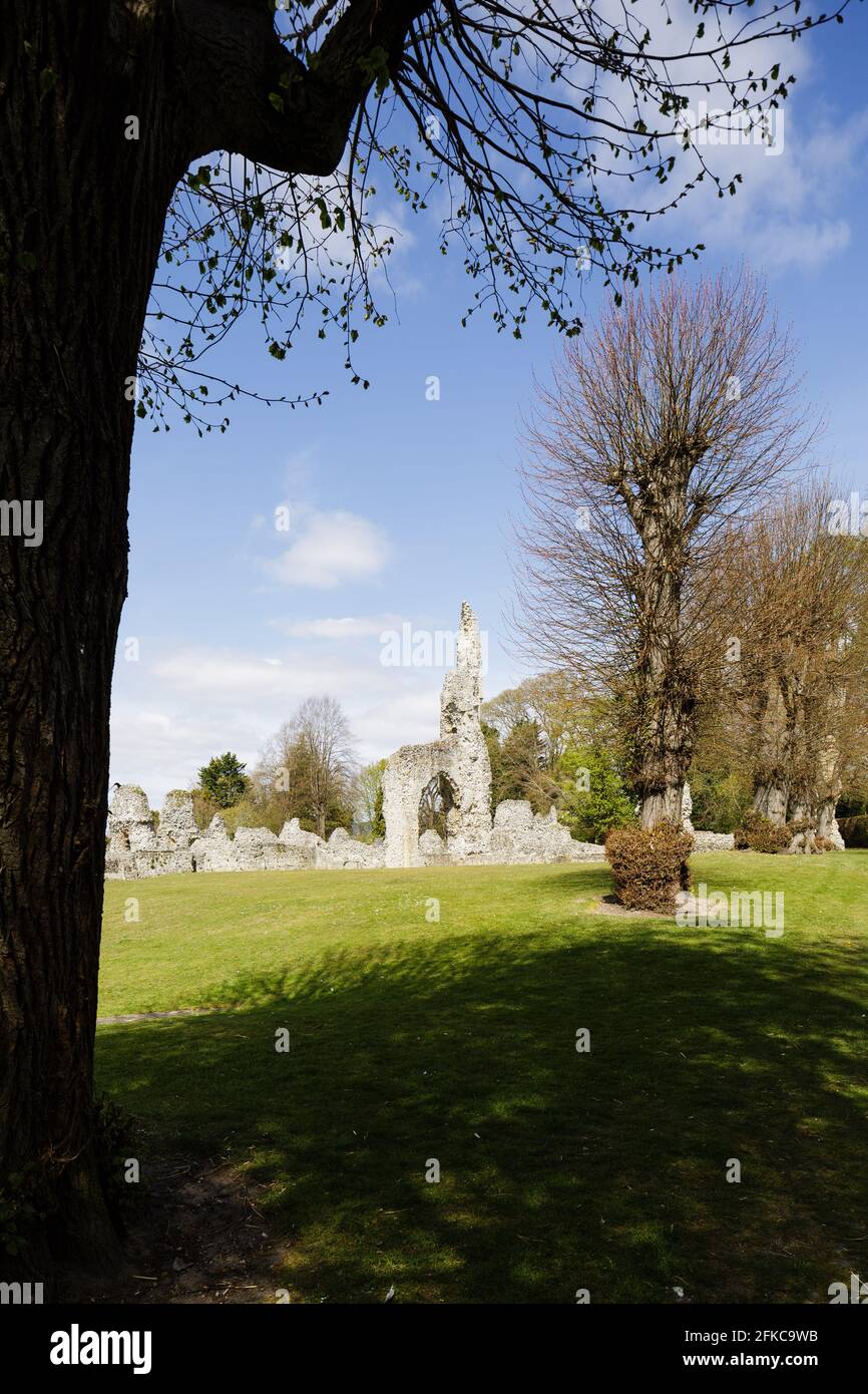 The Priory of Our Lady of Thetford, ruins of the Medieval Cluniac ...