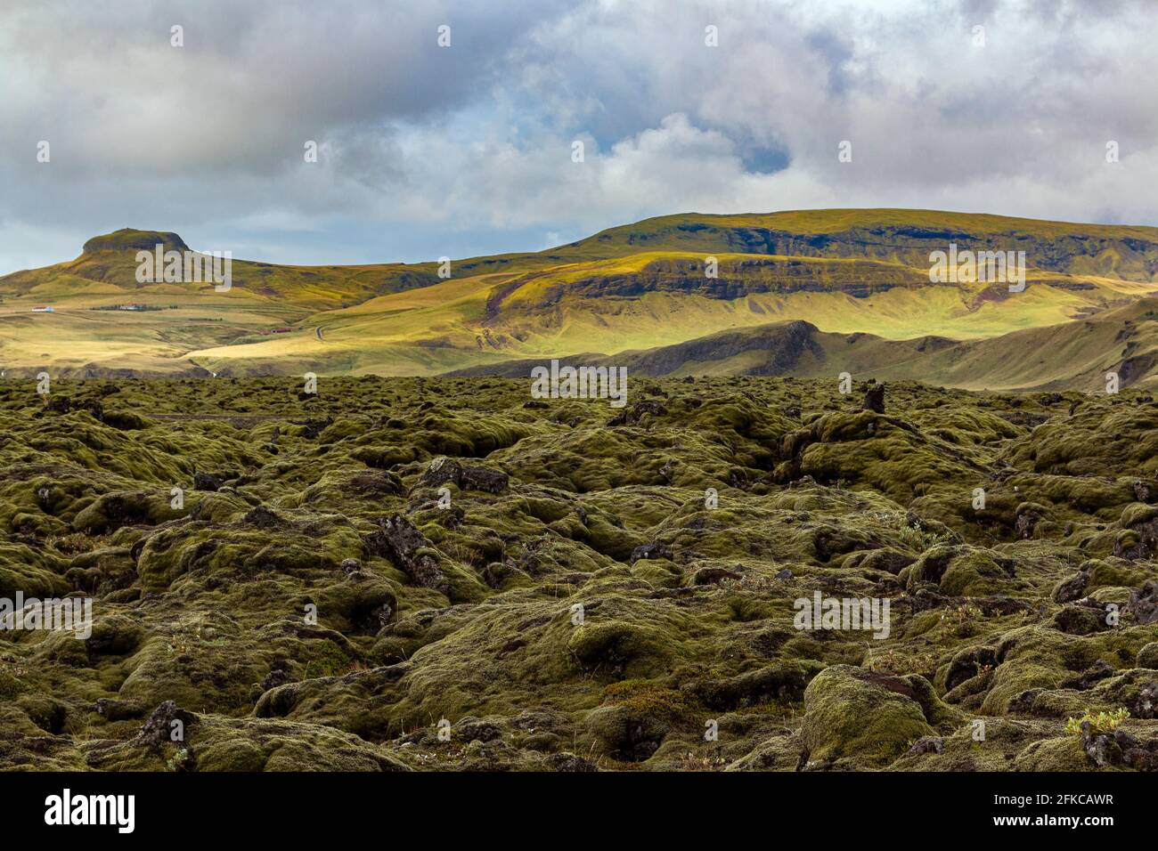 Iceland volcano rocks hi-res stock photography and images - Alamy