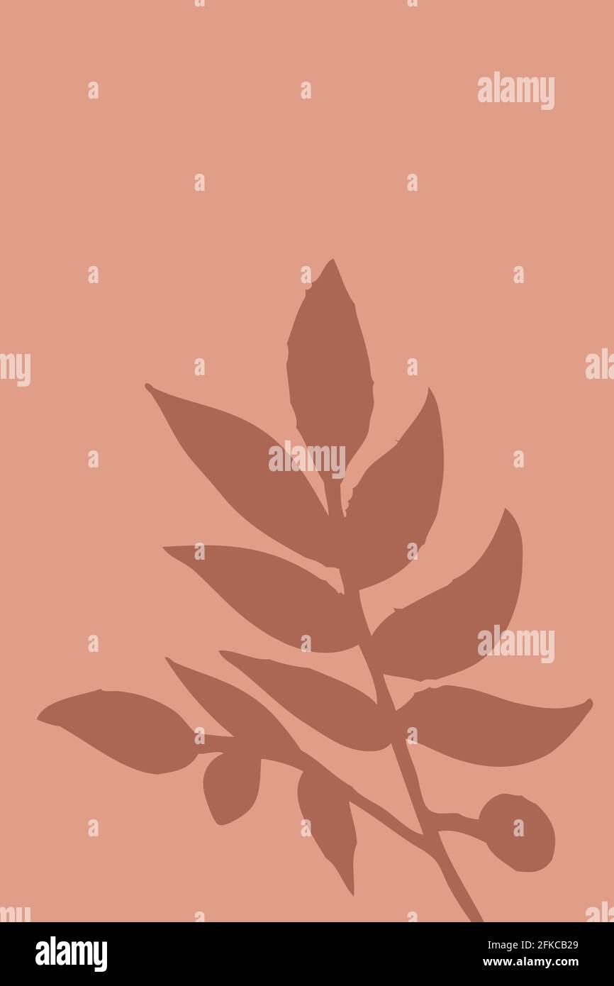 Minimalist Printable Botanical Illustration .Plants Illustration. Home ...