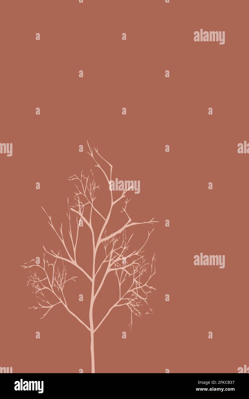 Minimalist Printable Botanical Illustration .Plants Illustration. Home ...