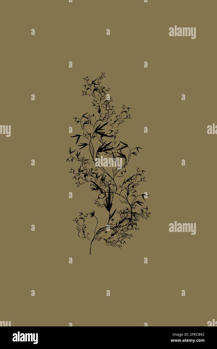 Minimalist Printable Botanical Illustration .Plants Illustration. Home ...