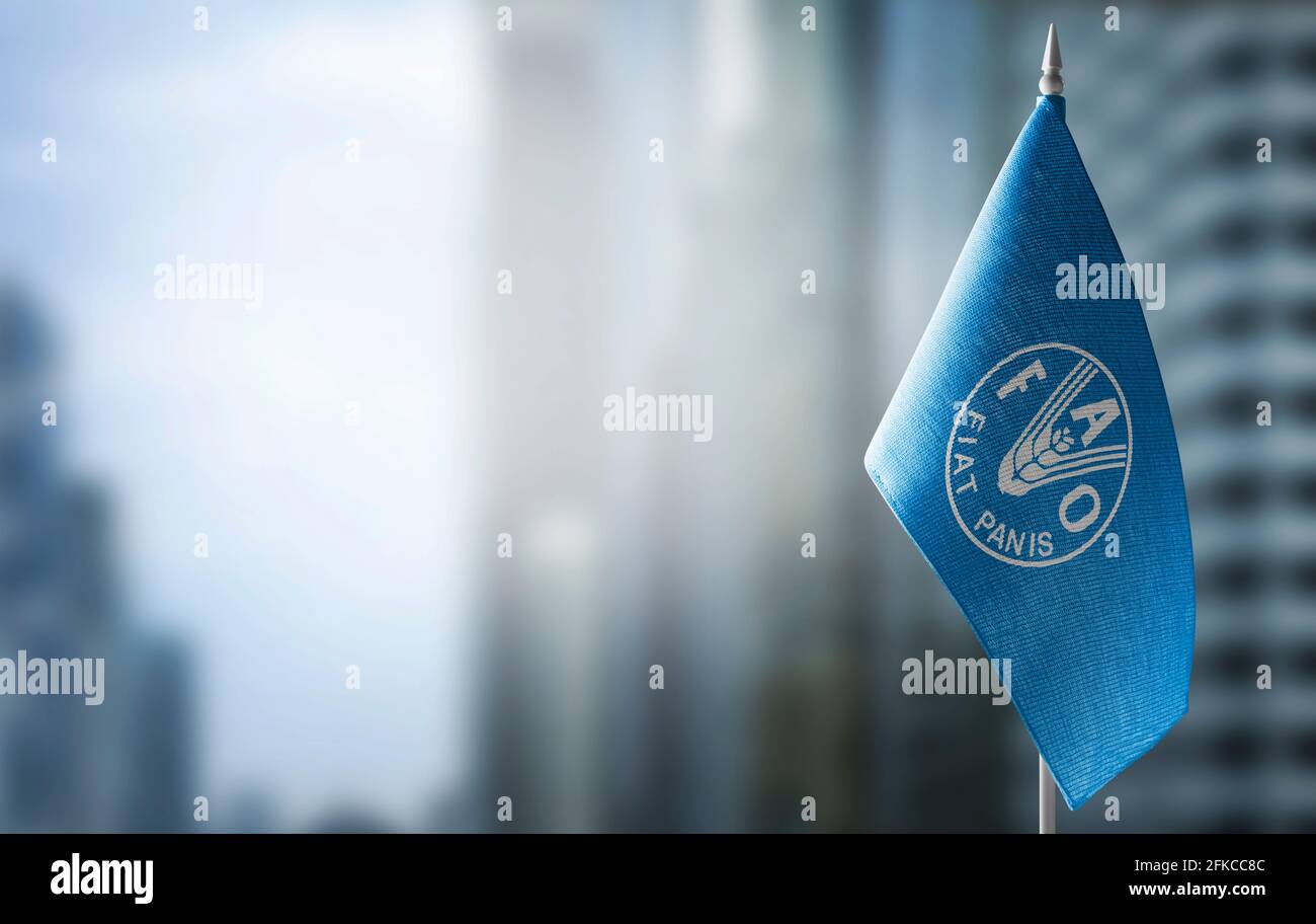 Fao symbol hi-res stock photography and images - Alamy