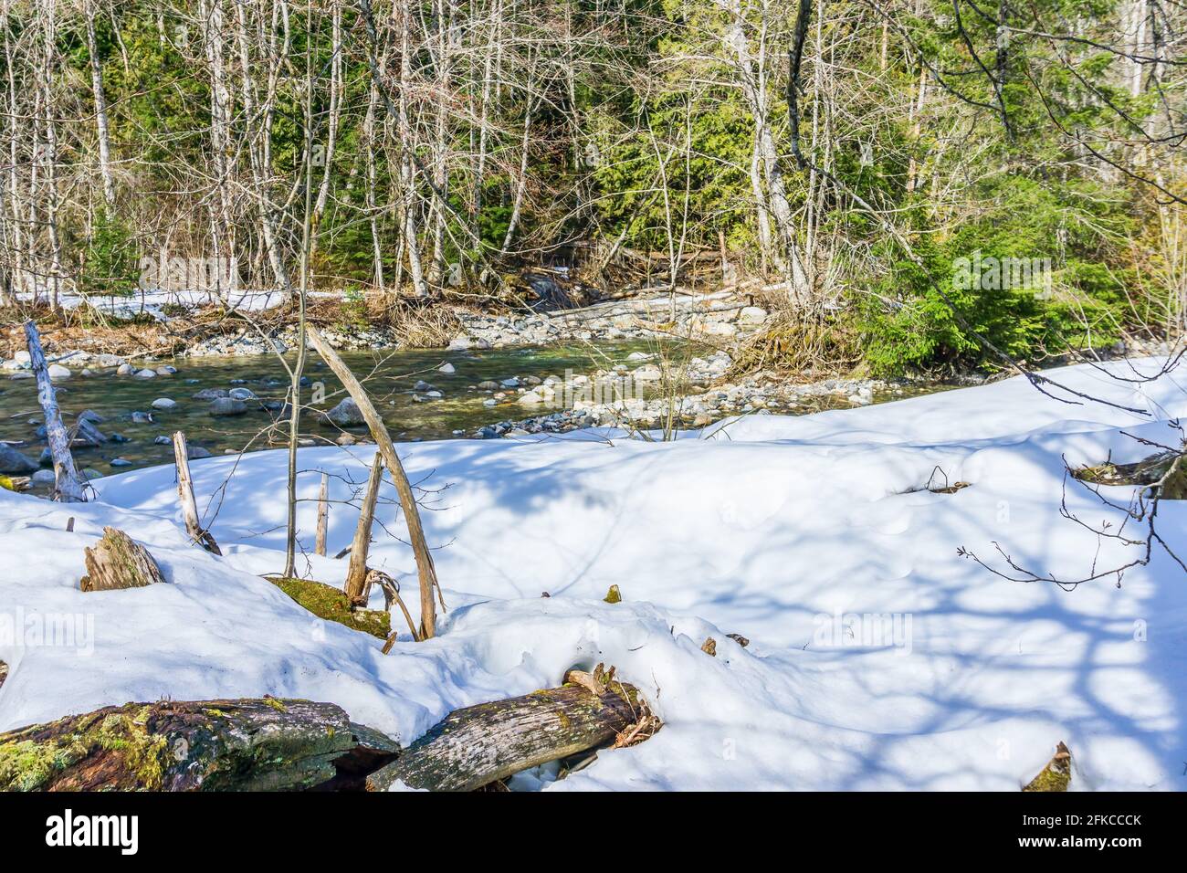 Snow lines the shore of Denny Creek in Washington State Stock Photo - Alamy