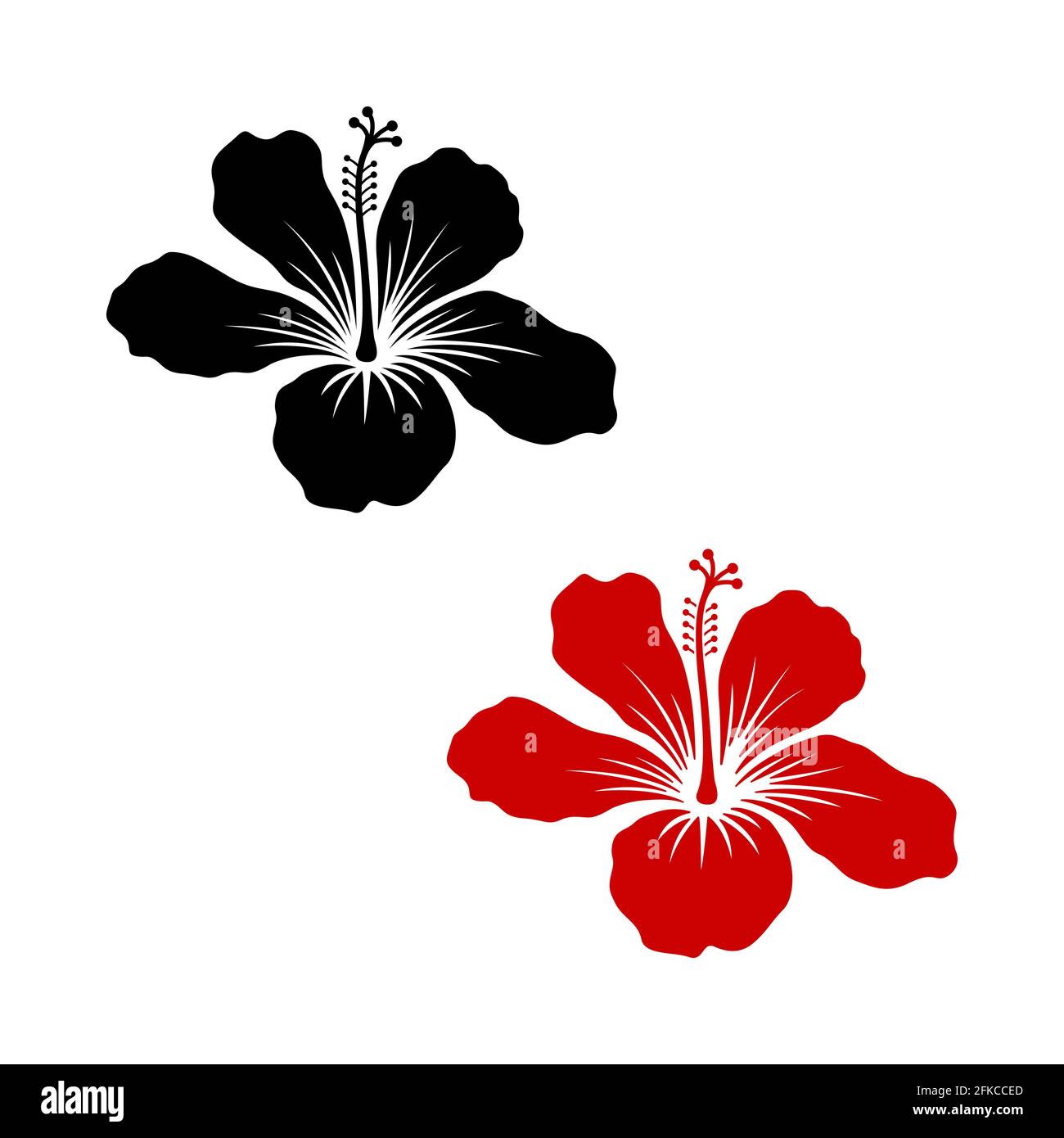 Most beautiful hibiscus flower image Stock Vector Images - Alamy