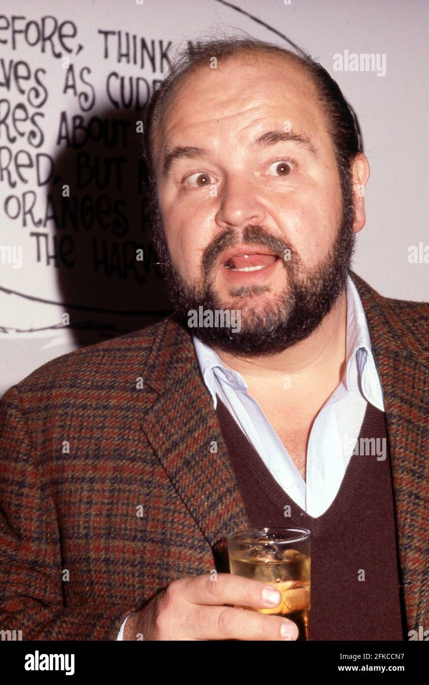 Don DeLuise Circa 1980's Credit: Ralph Dominguez/MediaPunch Stock Photo ...