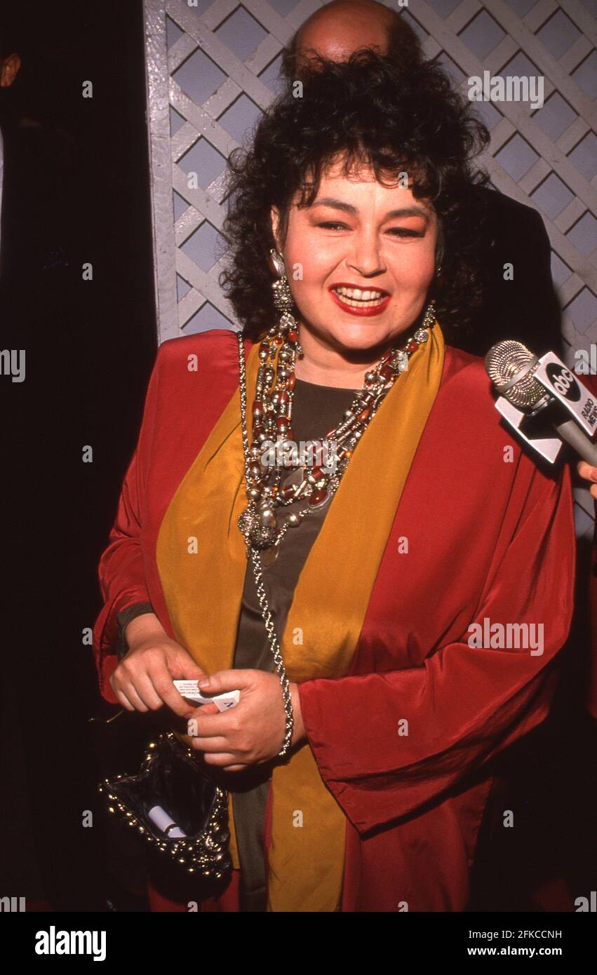 Roseanne Barr 1980 Roseanne
