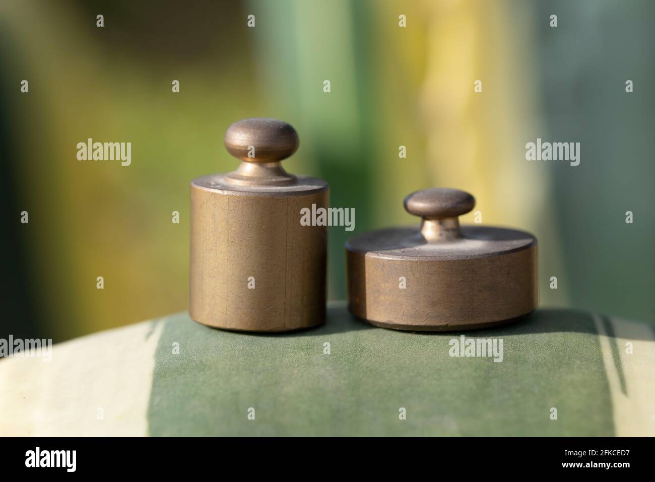Two small metal weights for scales lie on a green agave against a green ...